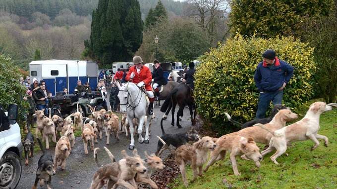 Laura Anne Jones addresses trail hunting debate in Monmouthshire ...