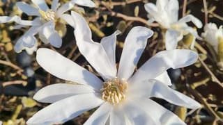The photos from this week’s spring themed ‘Picture This ...