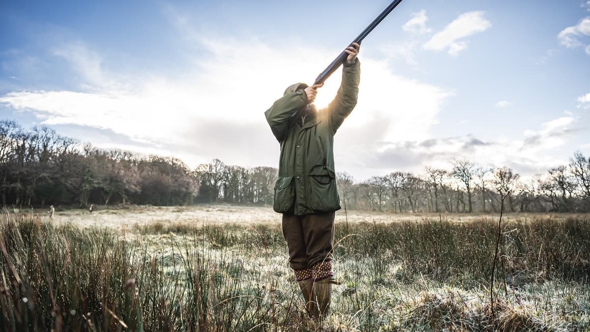 Game and Wildlife Conservation Trust Cymru revealing findings from ...