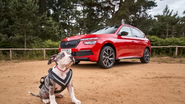 Skoda research showing how safe your car is when driving with your dog ...