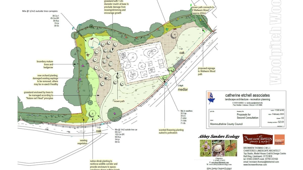 Council unveils green spaces plan for one Monmouthshire town ...