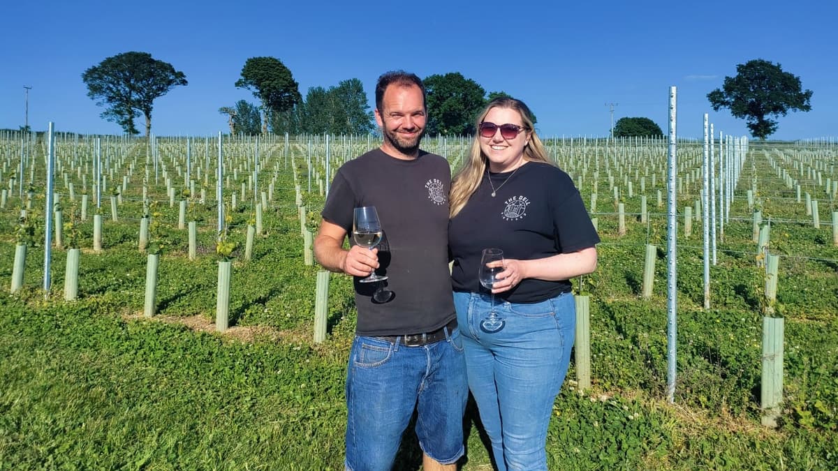 GALLERY: vineyard based in Raglan celebrates Welsh Wine Week ...