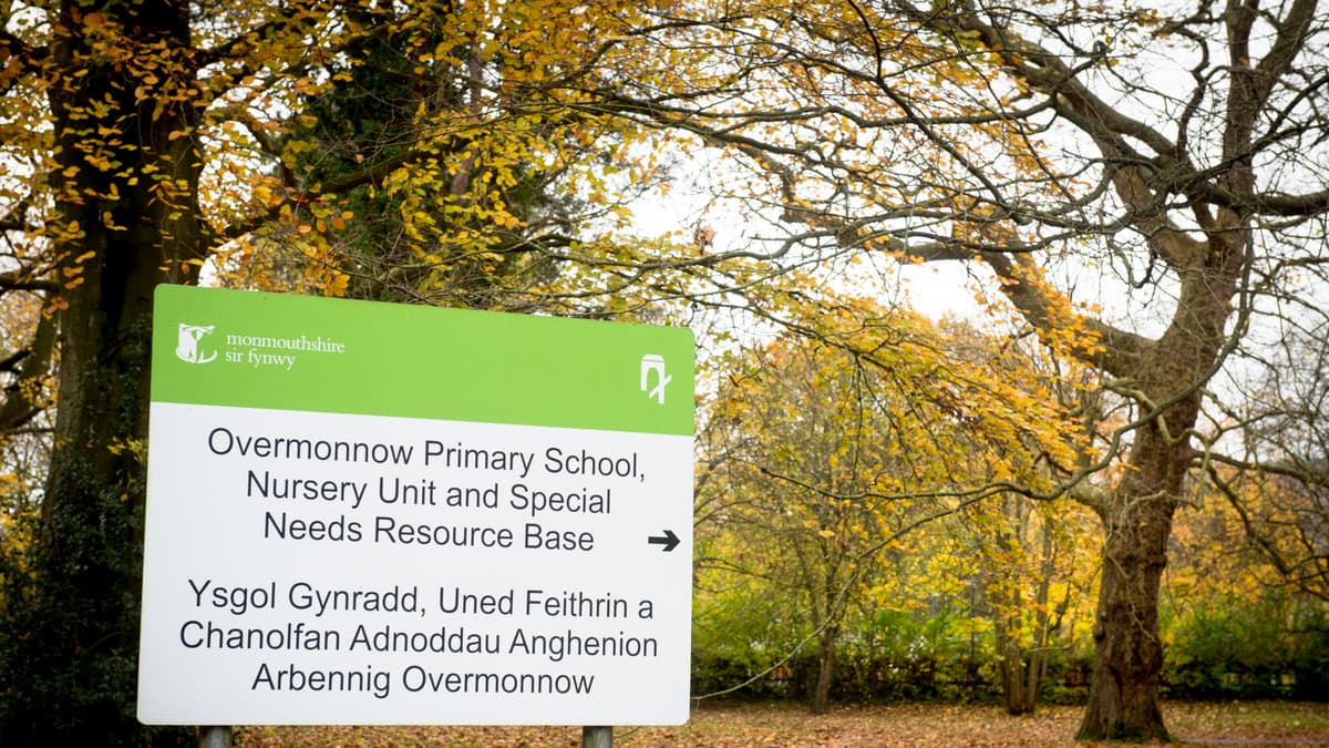 Welsh-speaking seedling school looking for governors ...