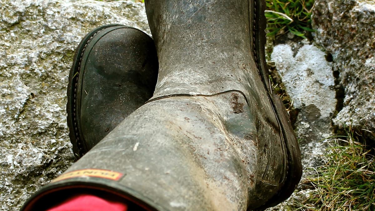 Farmers asked to donate old wellies to campaign Senedd display ...