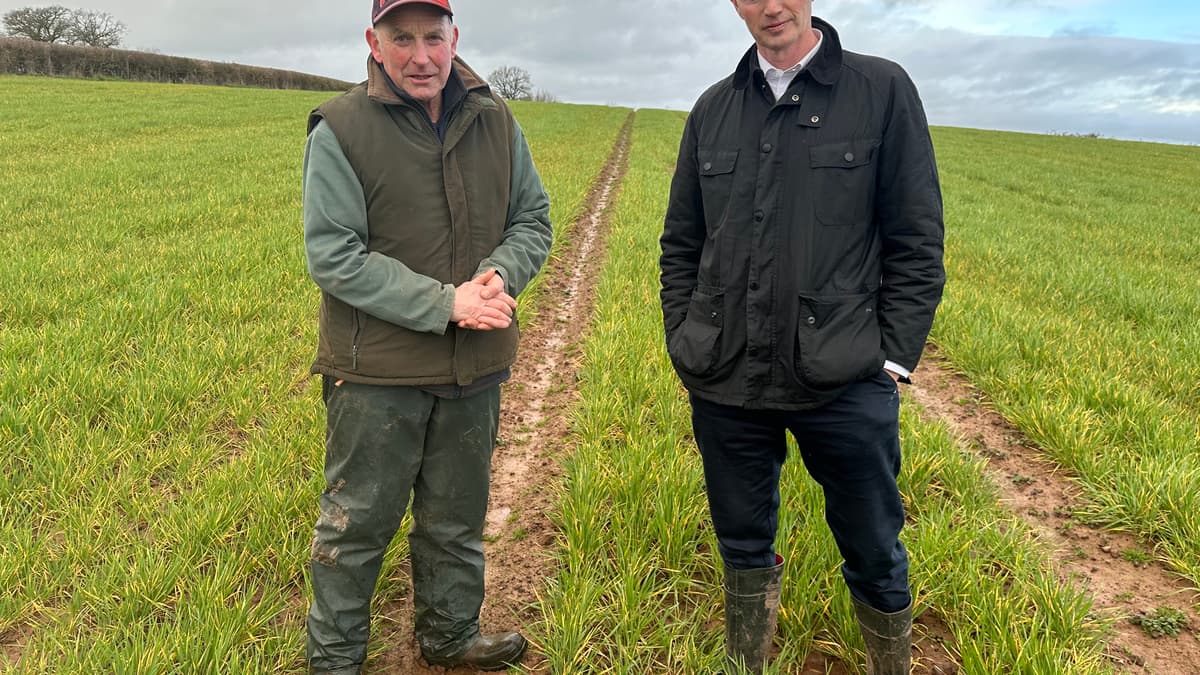 MP says Welsh Government "cannot see wood for trees" on farming plans ...