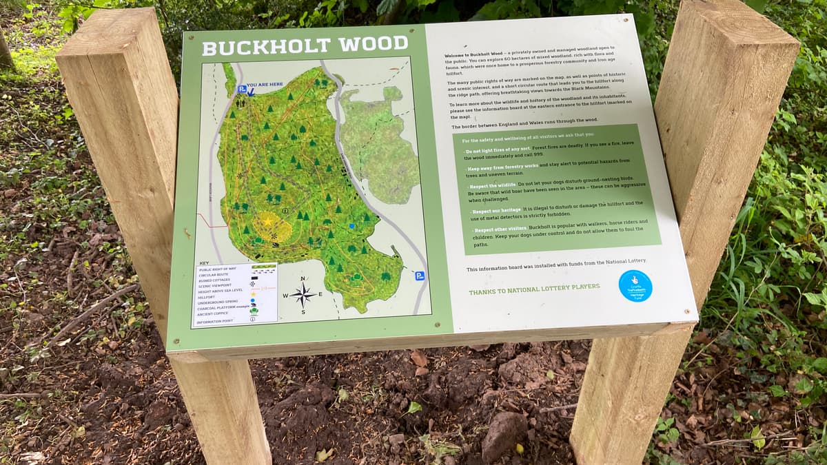 Tree-mendous £99k Lottery boost for woodland group ...