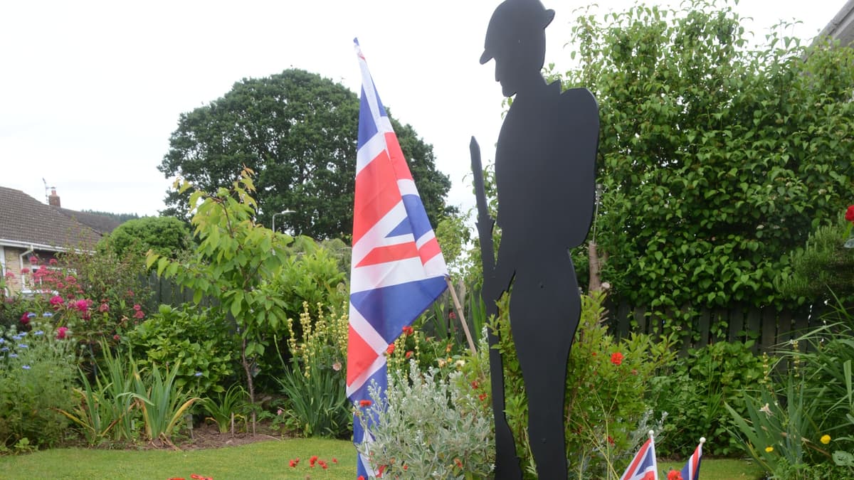 Garden poppy display to commemorate D-Day anniversary ...