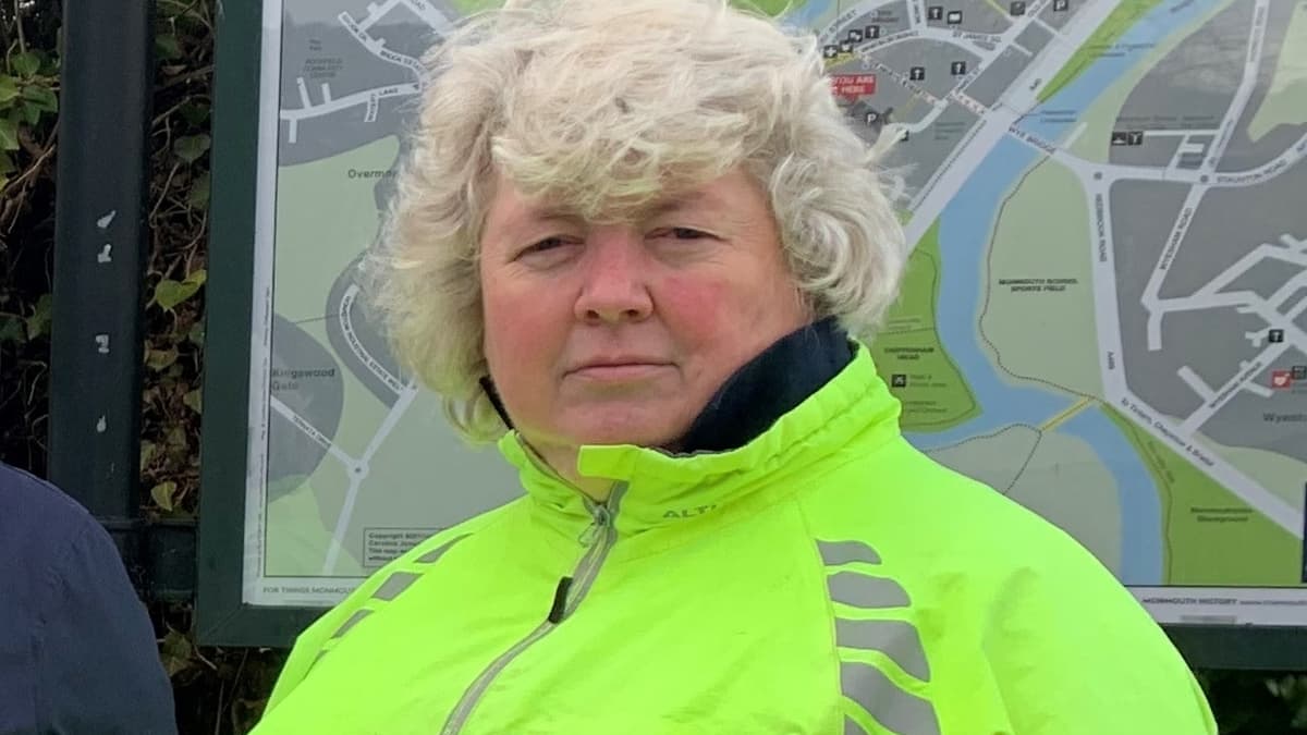 Roadsigns should have dividing lines between Welsh and English says ...