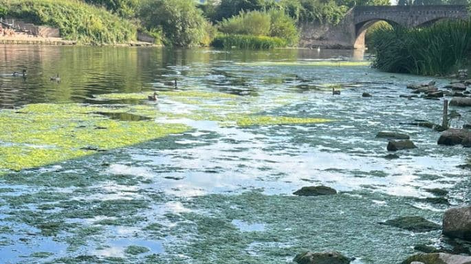 First move in No Win No Fee action against River Wye pollution ...