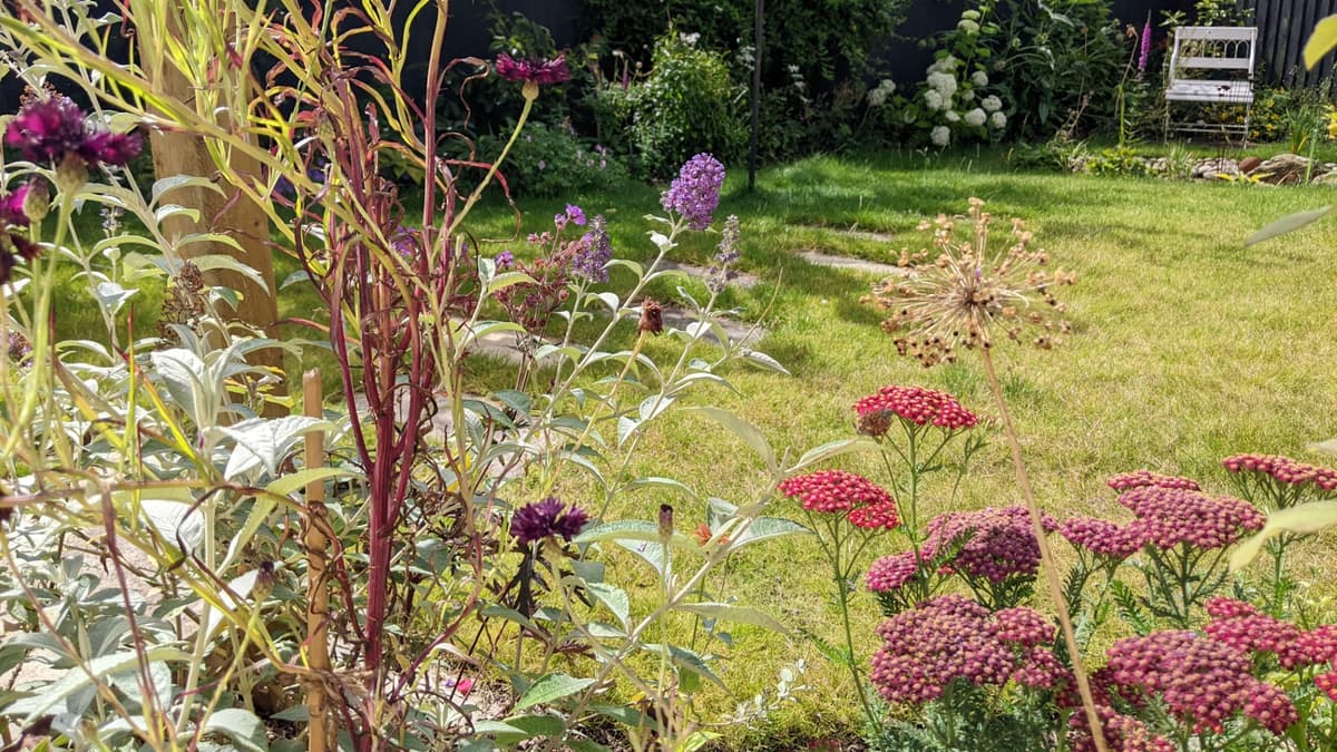 Create a garden perfect for pollinators | monmouthshirebeacon.co.uk