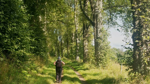 Ramble on three Forest villages walk | monmouthshirebeacon.co.uk