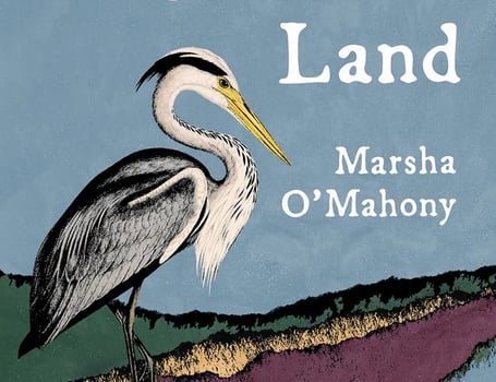 ‘People’s history’ behind the magic of the Gwent Levels ...