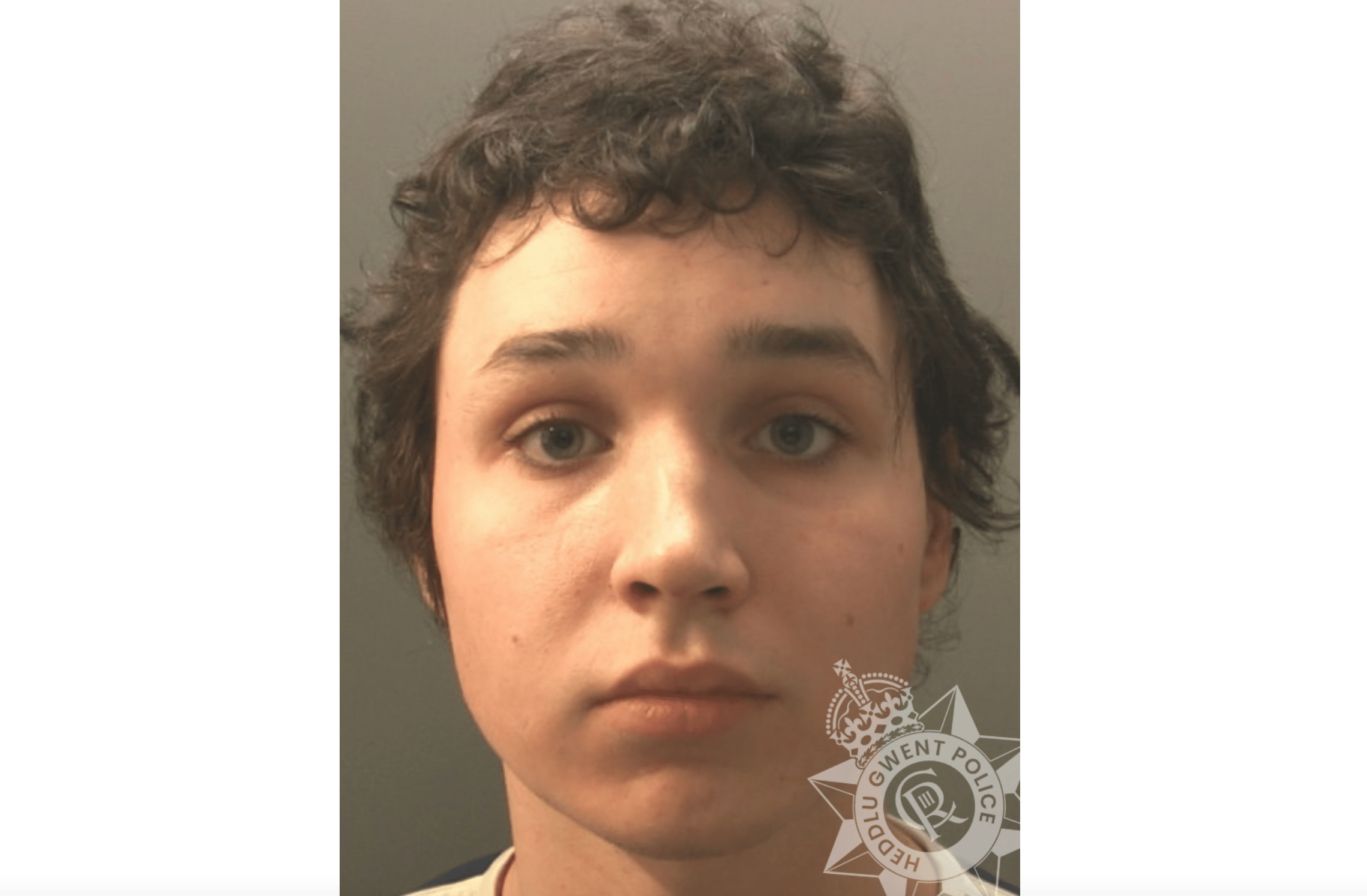 Teenager who planned 3D semi-automatic gun jailed for nearly five years ...