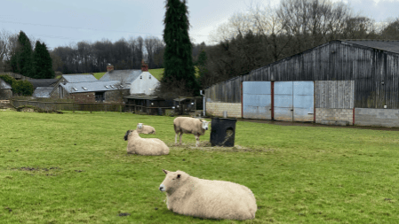 Dean Farm Trust appeals for urgent winter support | monmouthshirebeacon ...