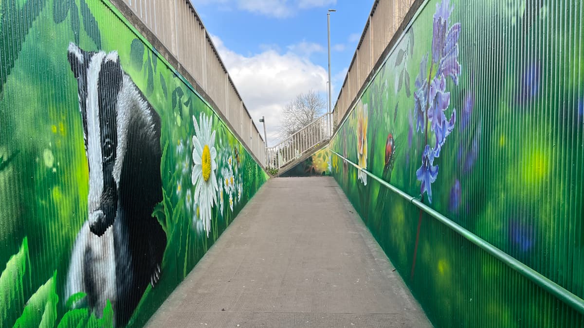 Monmouth underpass transformed with vibrant murals by Paul Shepherd ...