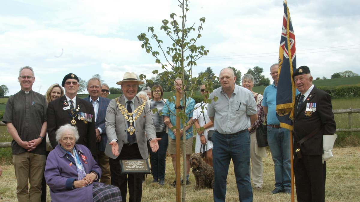 Peace tree planted at Violette Szabó museum | monmouthshirebeacon.co.uk