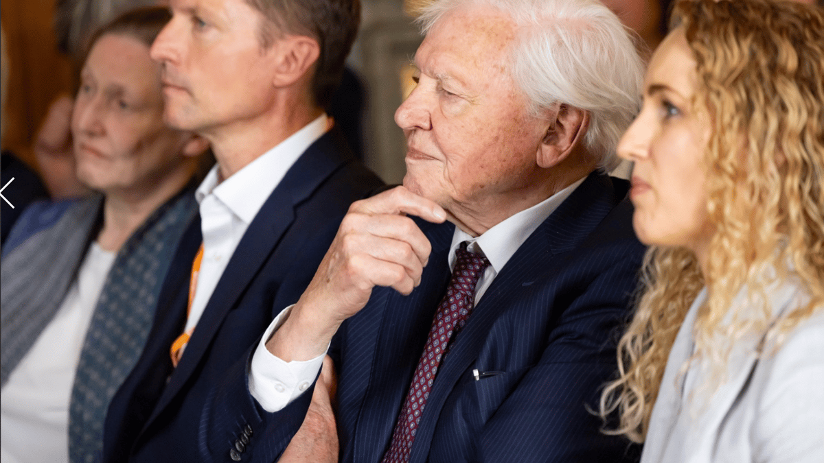 Catherine Fookes attends Sir David Attenborough's film ...