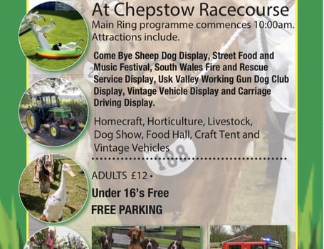 Chepstow Show Returns: Family Fun and Rural Delights ...