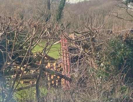 Repair work closes road damaged by shed timber load ...