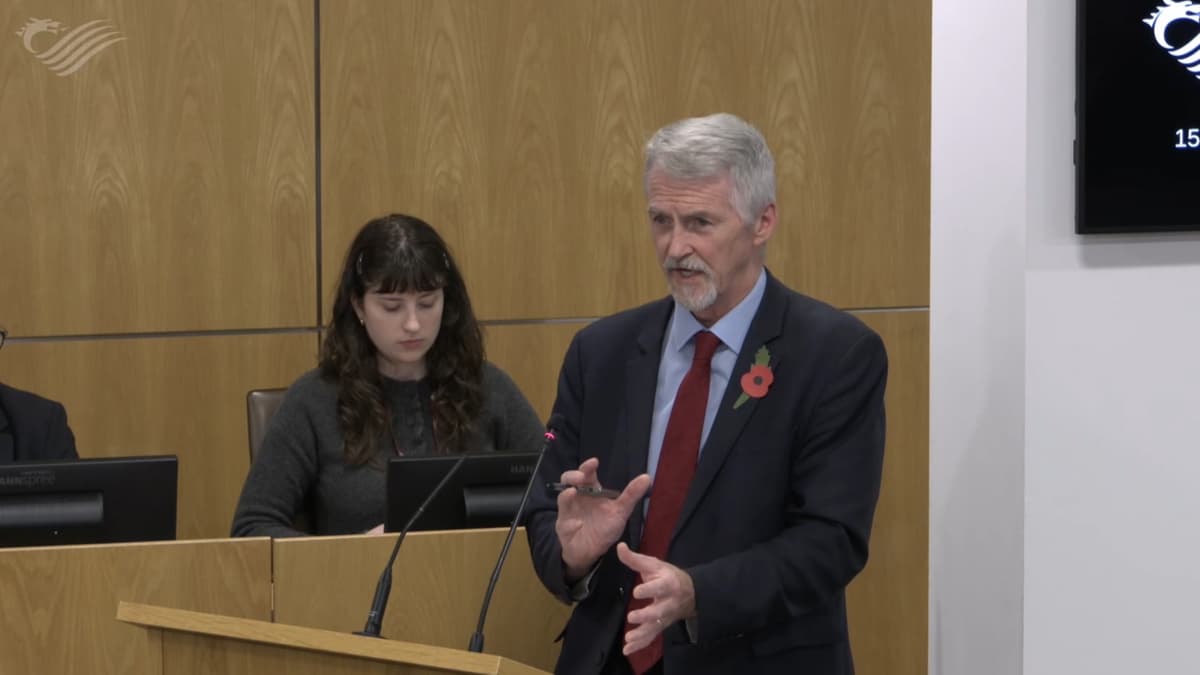 Baby killed in Rogiet dog attack prompts review of Welsh dog control ...