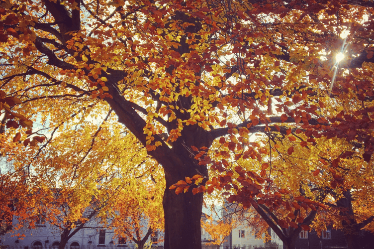 Celebrate Monmouth: submit your photo for Picture of the Week ...