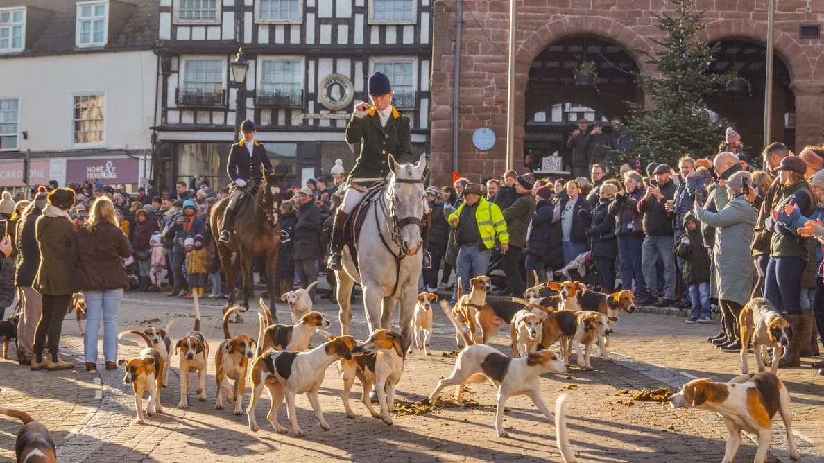 Ross Harriers' Boxing Day Drag Hunt draws thousands of supporters ...